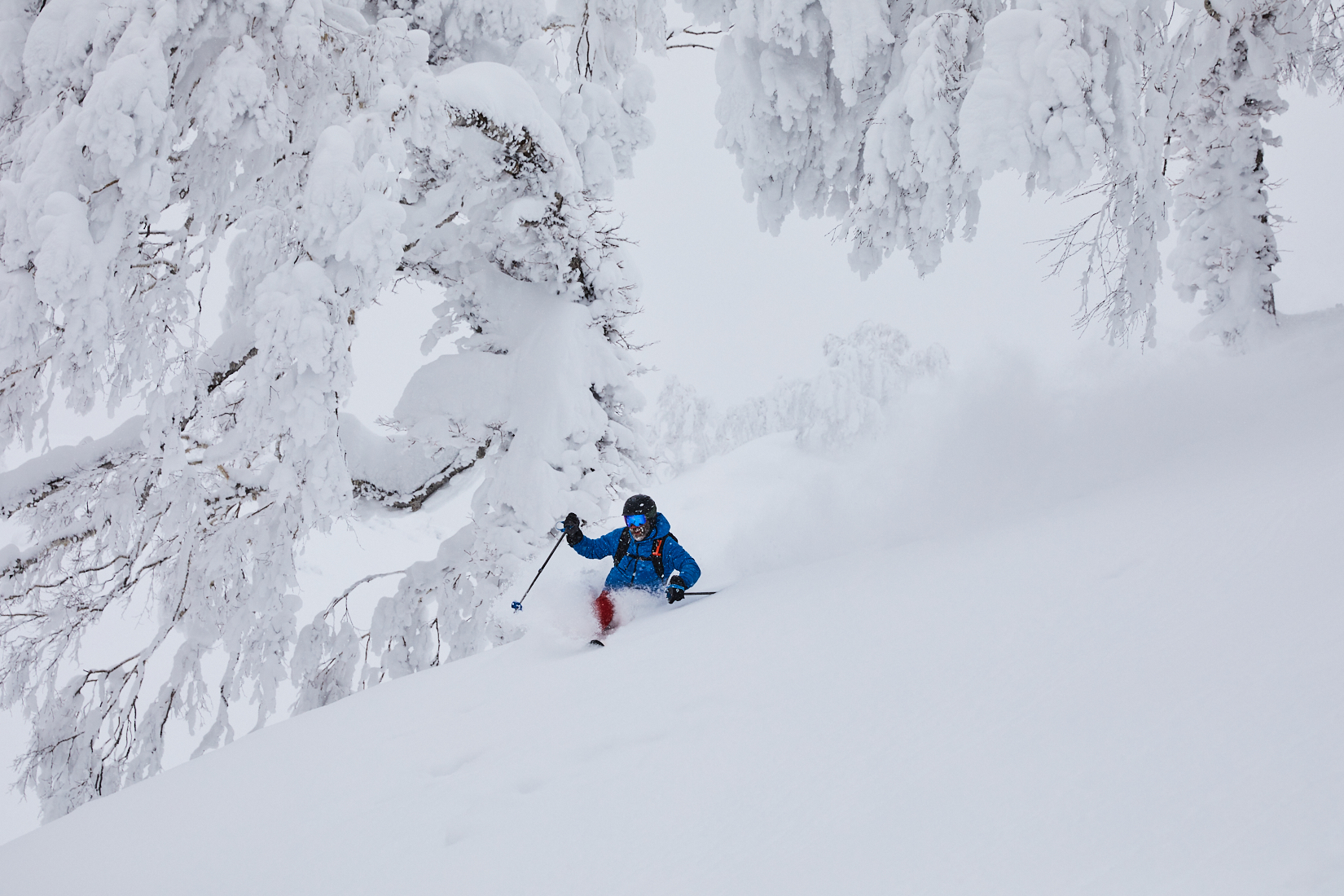 Japow: Japan Powder Skiing - San Juan Expeditions